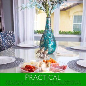 Dining | Plasticpro 6 Sectional Round Plastic Serving Trayplatter 4 ...